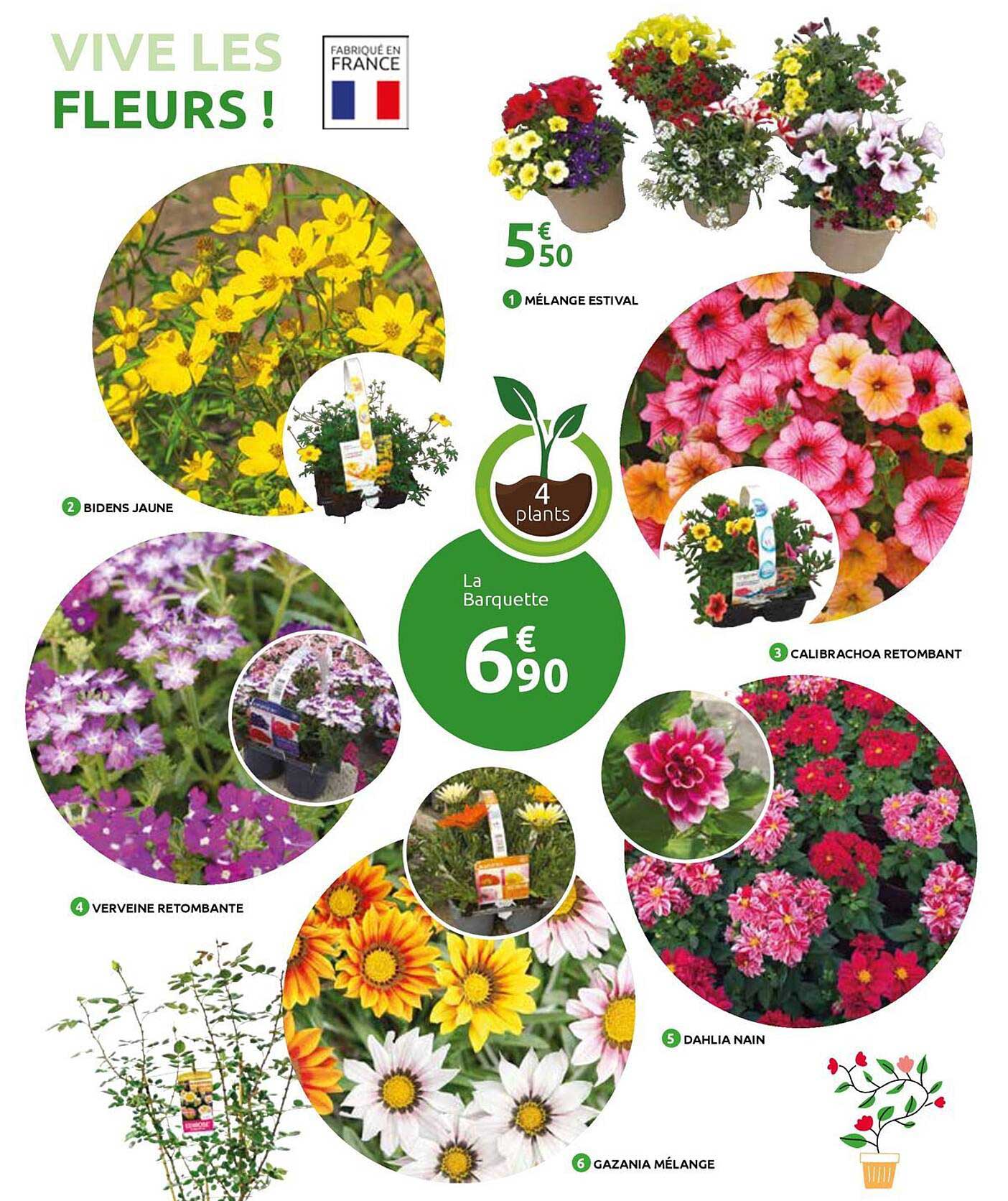 Sitemapcdatahttpsmodeinf Inetcompot De Fleur Lidl