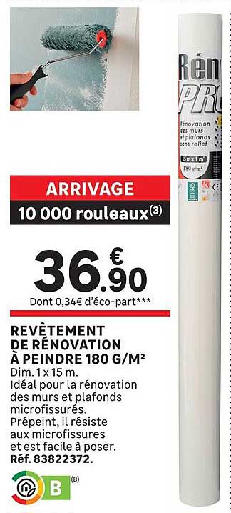 Revetement De Renovation Lisse A Peindre 300 G M2