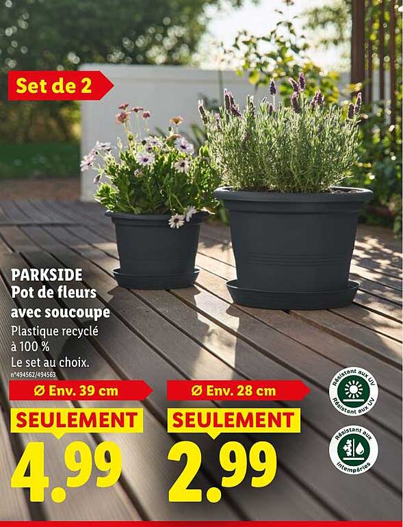 Pot De Fleur Lidl