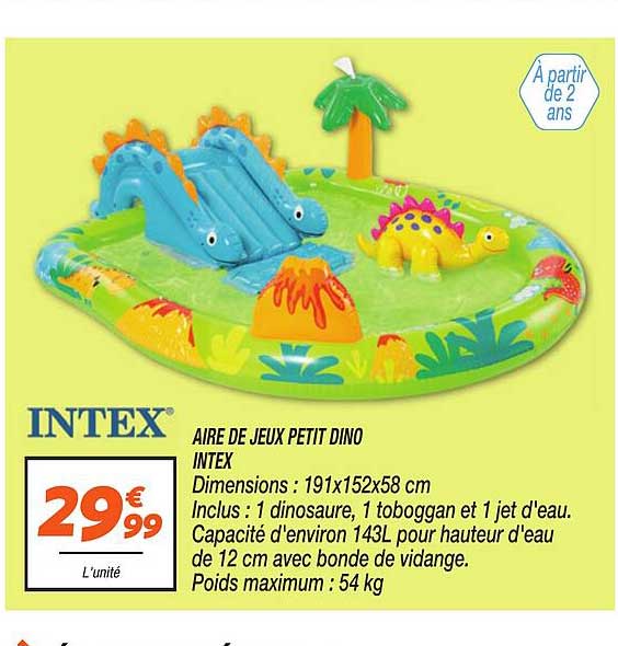 Promo Aire De Jeux Petit Dino Intex chez Netto - 123Catalogue.fr