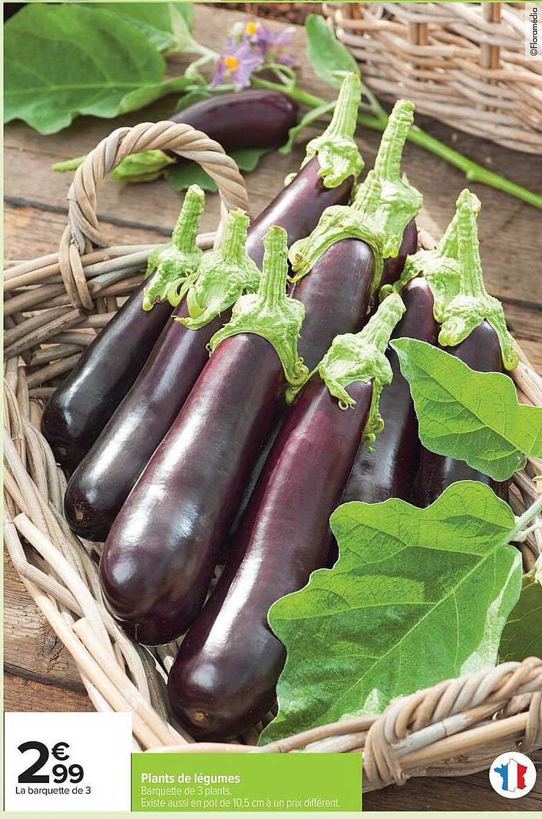Promo Plants De Légumes chez Carrefour - 123Catalogue.fr
