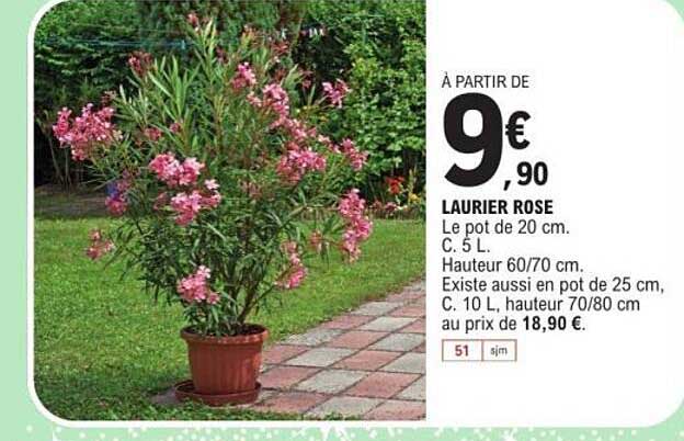 Promo Laurier Rose chez E.Leclerc - 123Catalogue.fr