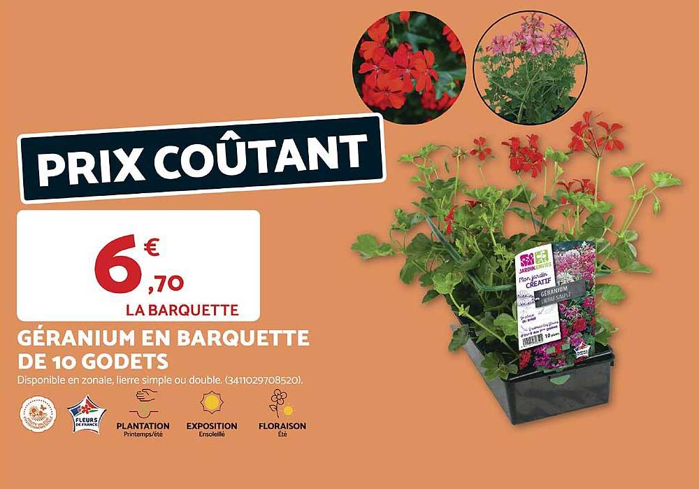 Prix Des Graniums En Barquette