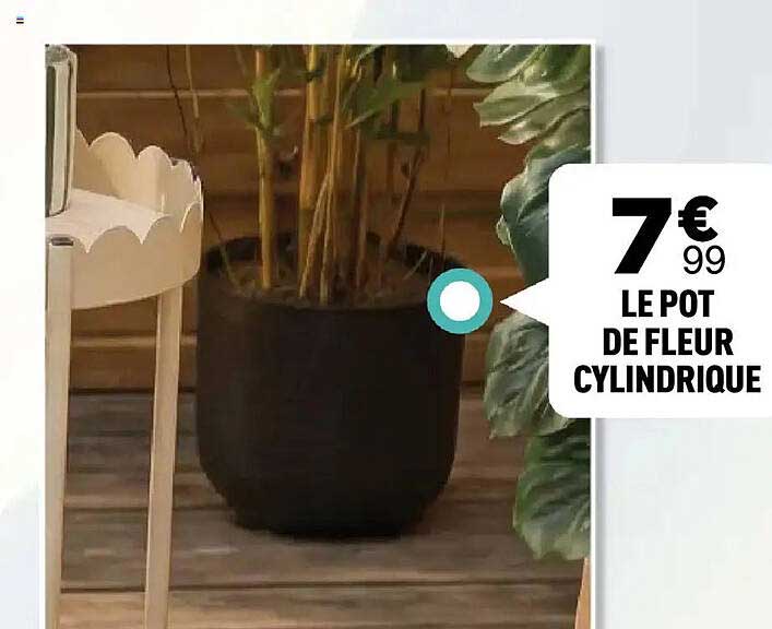 Pot De Fleur Centrakor