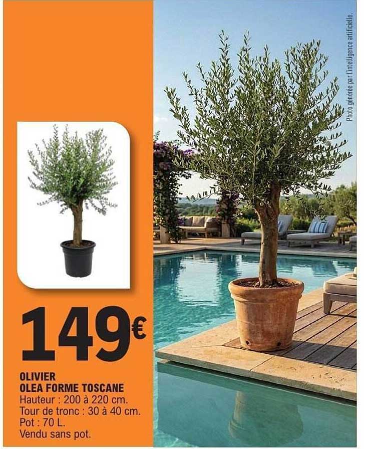 Sitemapcdatahttpsmodeinf Inetcomles Soldes Chez Toscane