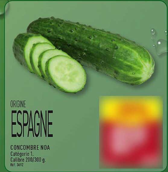 Promo Concombre Noa chez ALDI - 123Catalogue.fr