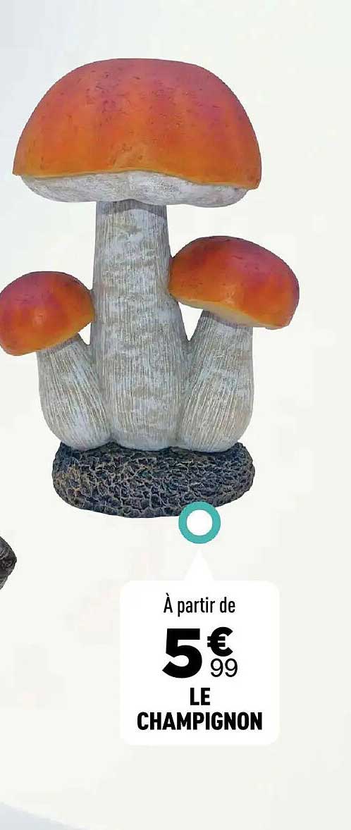 Promo Le Champignon chez Centrakor - 123Catalogue.fr