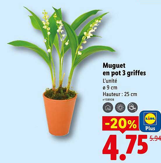 Lidl Muguet 2023