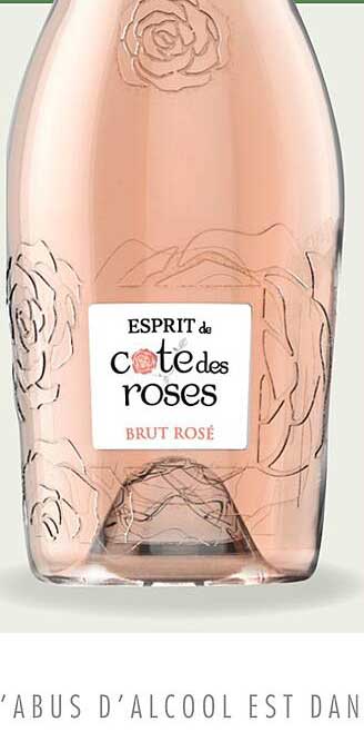 Promo Esprit De Cote Des Roses Brut Rosé chez Carrefour - 123Catalogue.fr