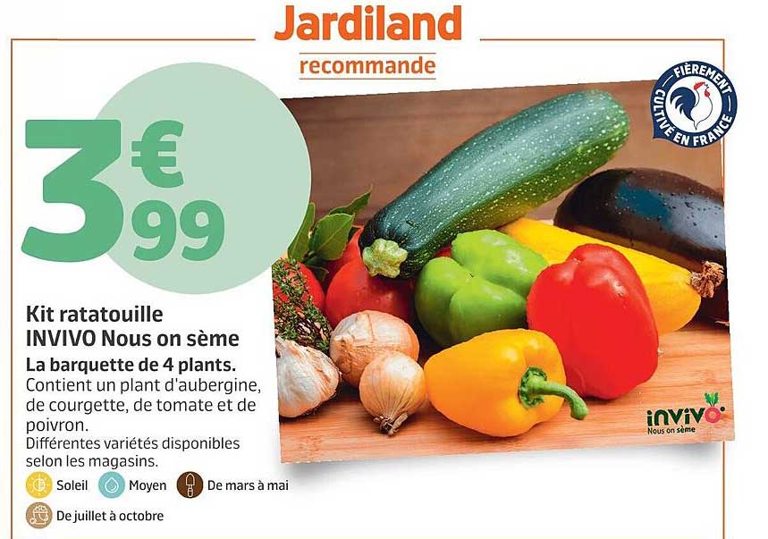 Promo Kit Ratatouille Invivo Nous On Sème La Barquette De 4 Plants ...